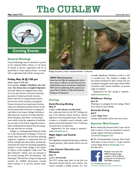 The Curlew Newsletter – Willow Beach Field Naturalists